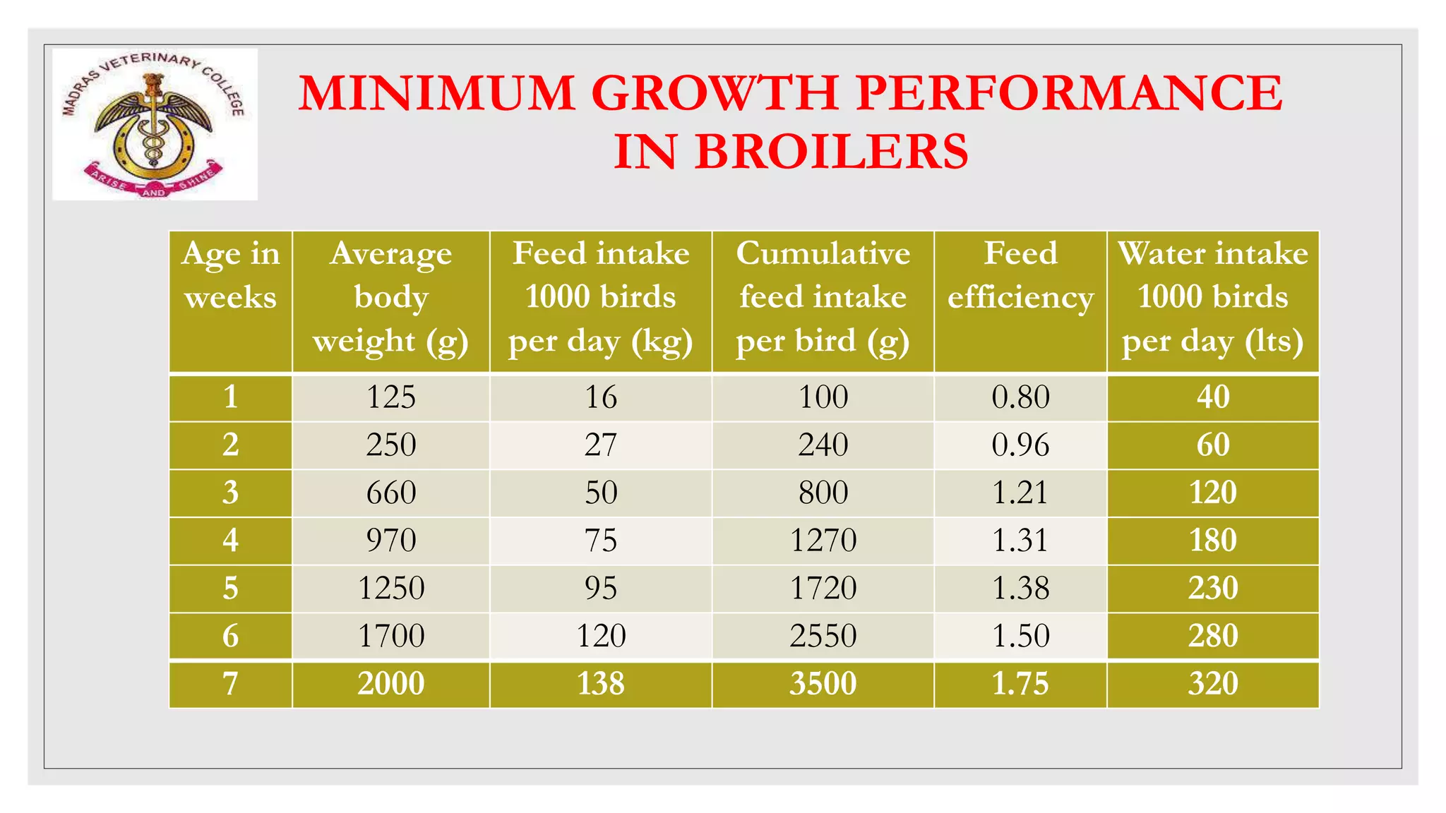 Broiler production | PPTX