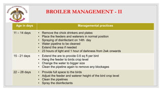 Broiler production | PPTX