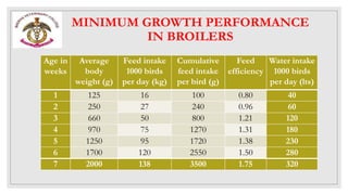 Broiler production | PPTX