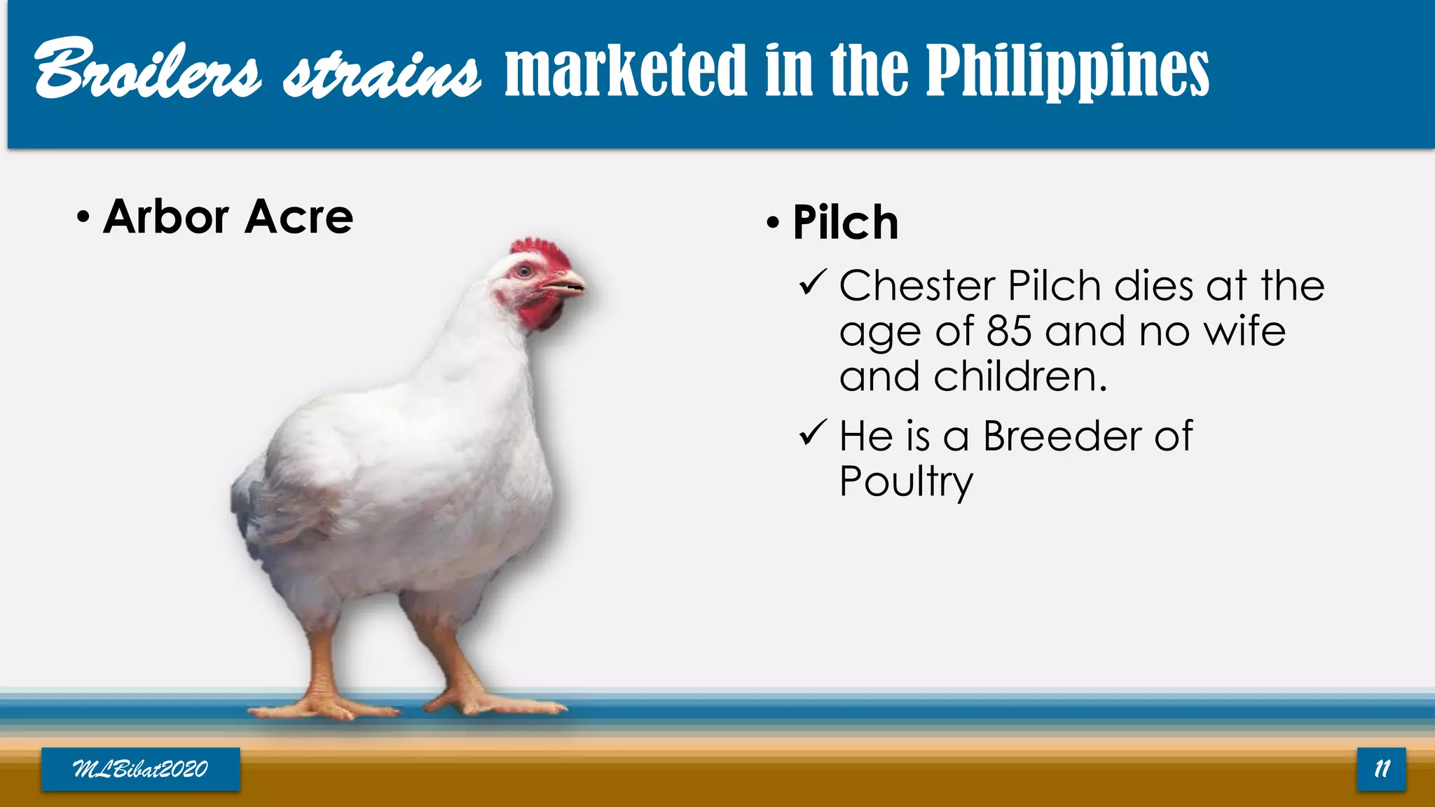 Broiler production as2 | PDF