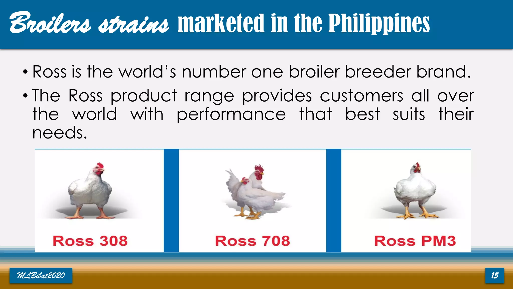 Broiler production as2 | PDF