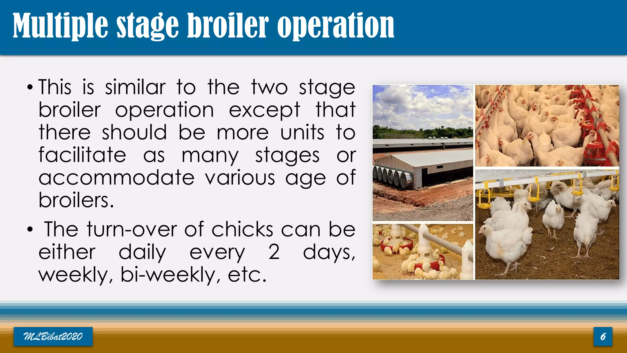 Broiler production as2 | PDF