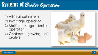 Broiler production as2 | PDF