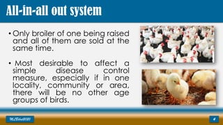 Broiler production as2 | PDF