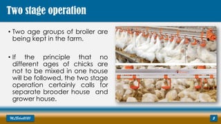 Broiler production as2 | PDF