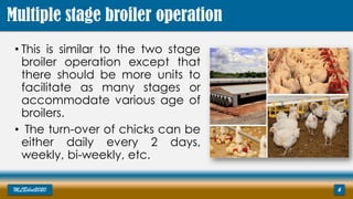 Broiler production as2 | PDF