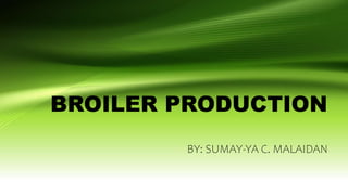 Broiler chicken power point presentation | PPTX