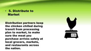 Broiler chicken power point presentation | PPTX