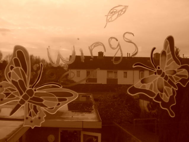 broken wings ( school project ) | PPT