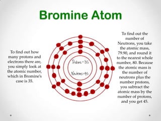Bromine berry | PPTX