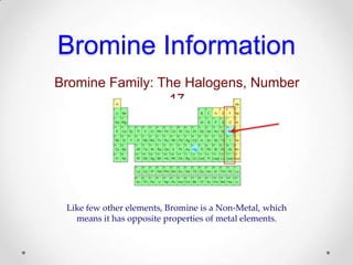 Bromine berry | PPTX
