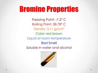 Bromine berry | PPTX | Chemistry | Science