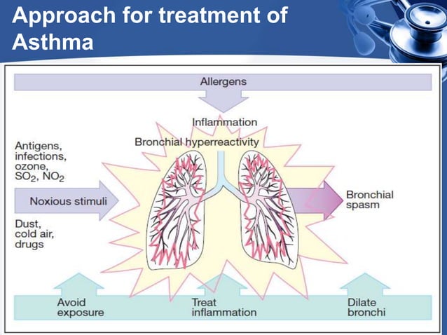 Bronchial ashtma Drugs by Dr Harikrishna | PPTX