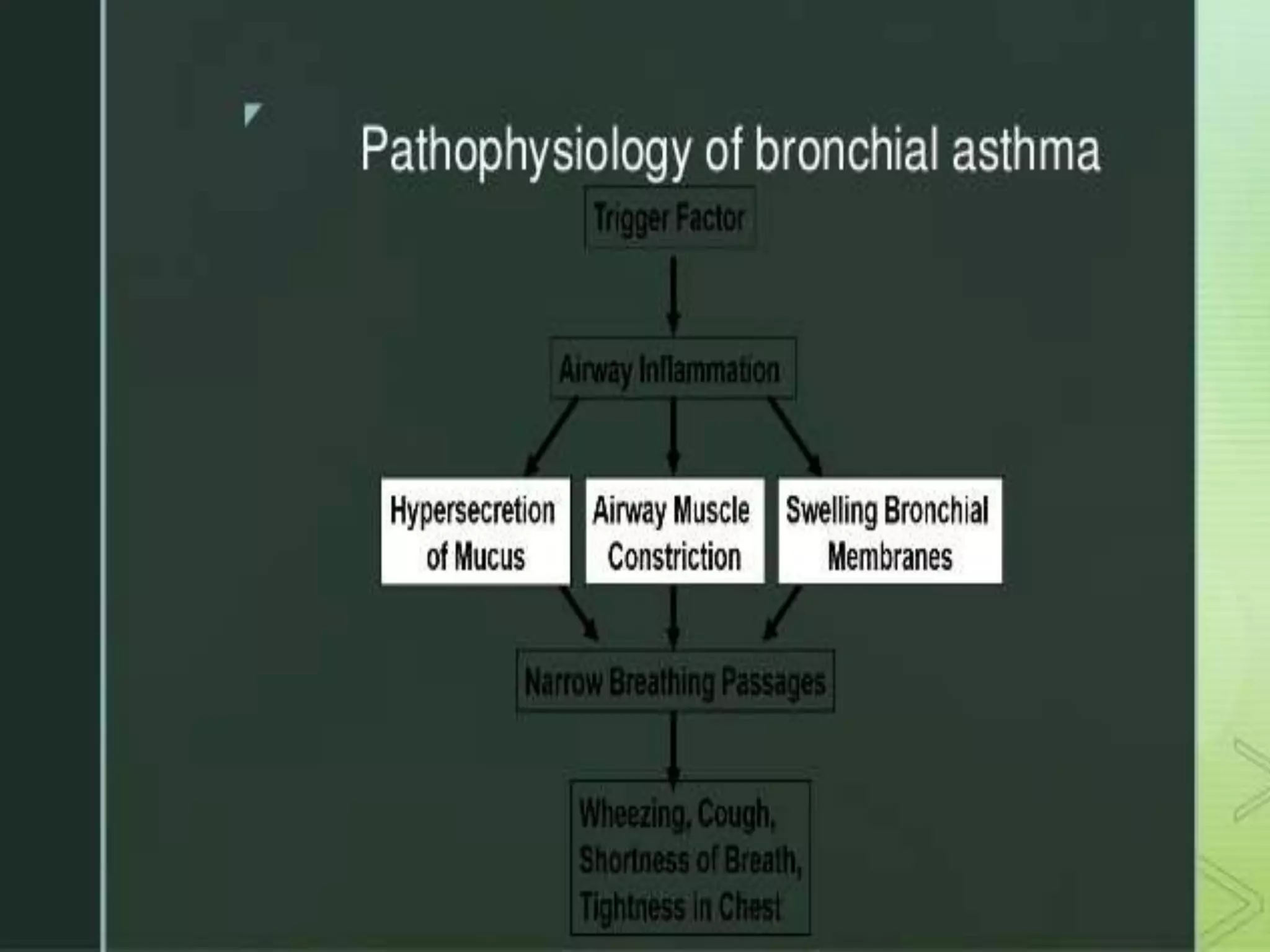 Bronchial asthma | PPT