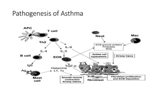 BRONCHIAL ASTHMA explaining the pathogenesis and clinical fatures | PDF
