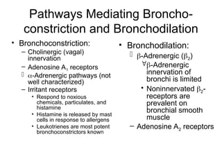 Bronchial Asthma is a common inflammatory disease | PPT