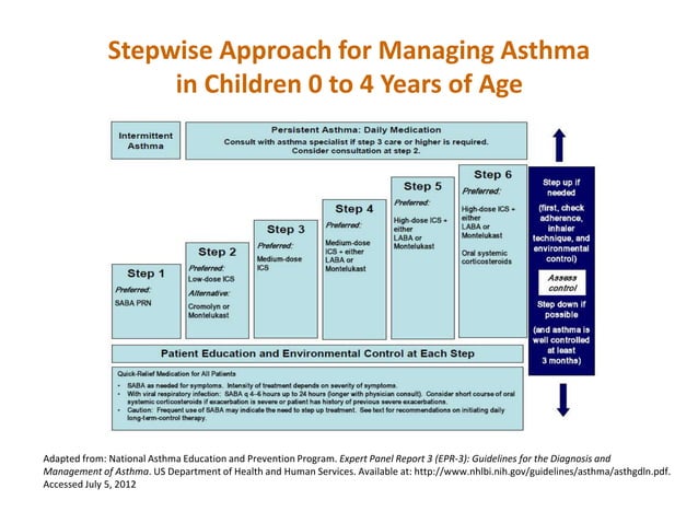 Bronchial asthma in children | PPTX