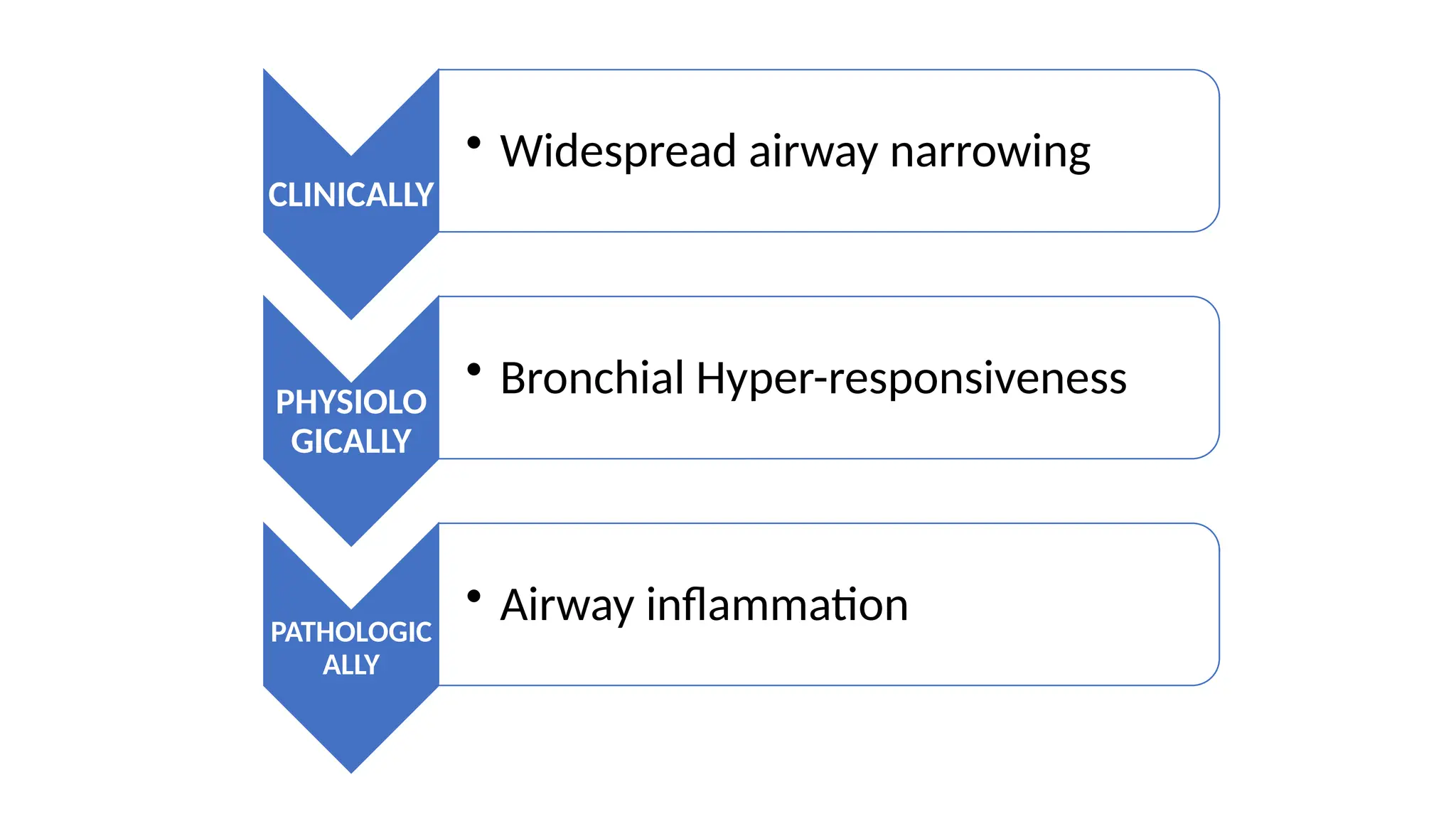 Bronchial Asthma new ppt04 including causes , risk factors ...