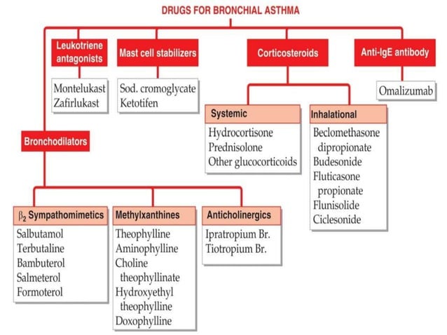 Bronchial asthma tutorial | PPT