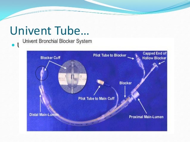 Bronchial blockers & endobronchial tubes