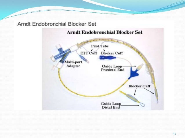 Bronchial blockers & endobronchial tubes