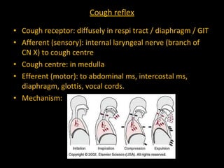 Bronchial carcinoma | PPT