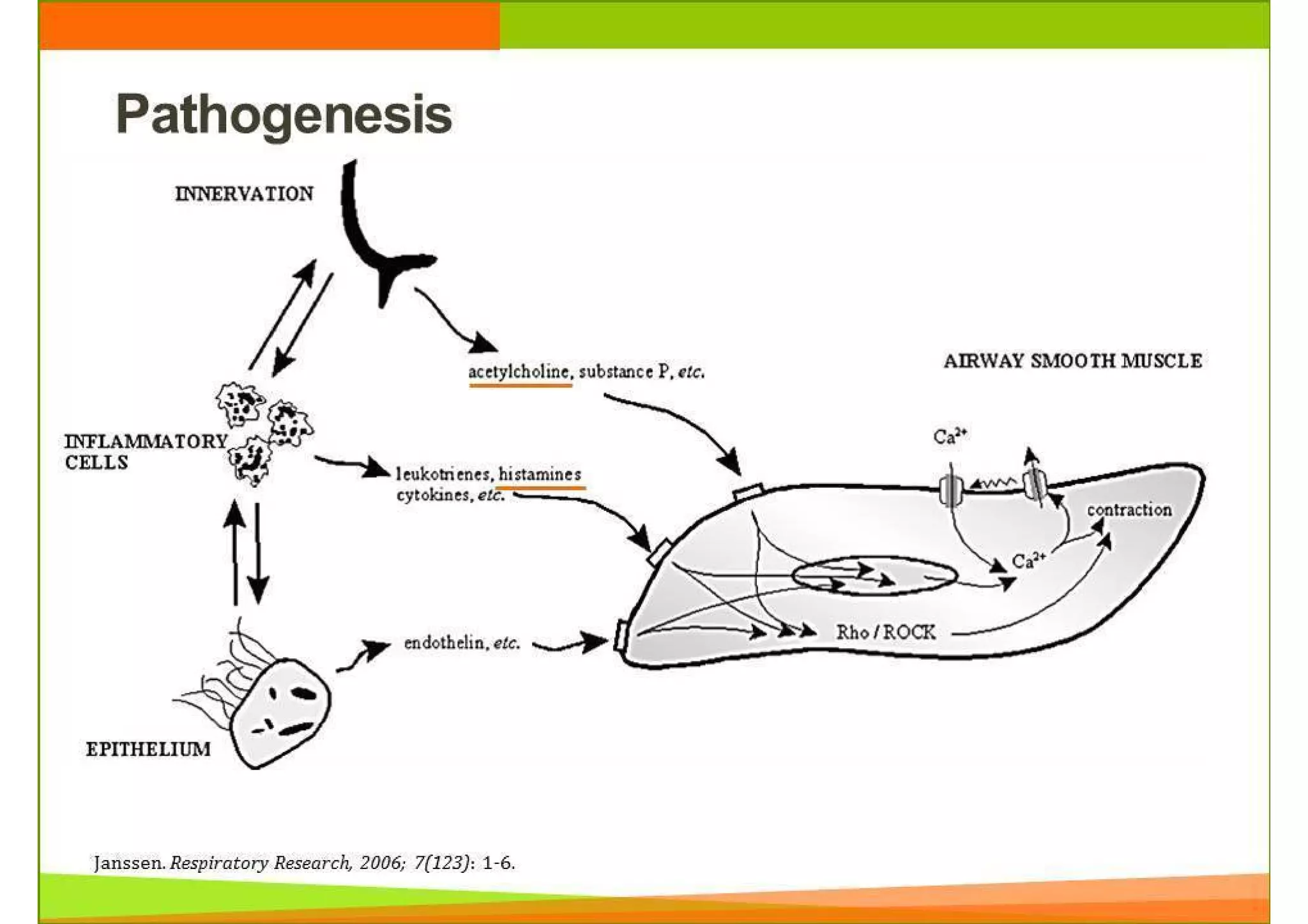 Bronchial provocation test in clinical practice | PDF