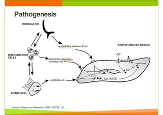 Bronchial provocation test in clinical practice | PDF