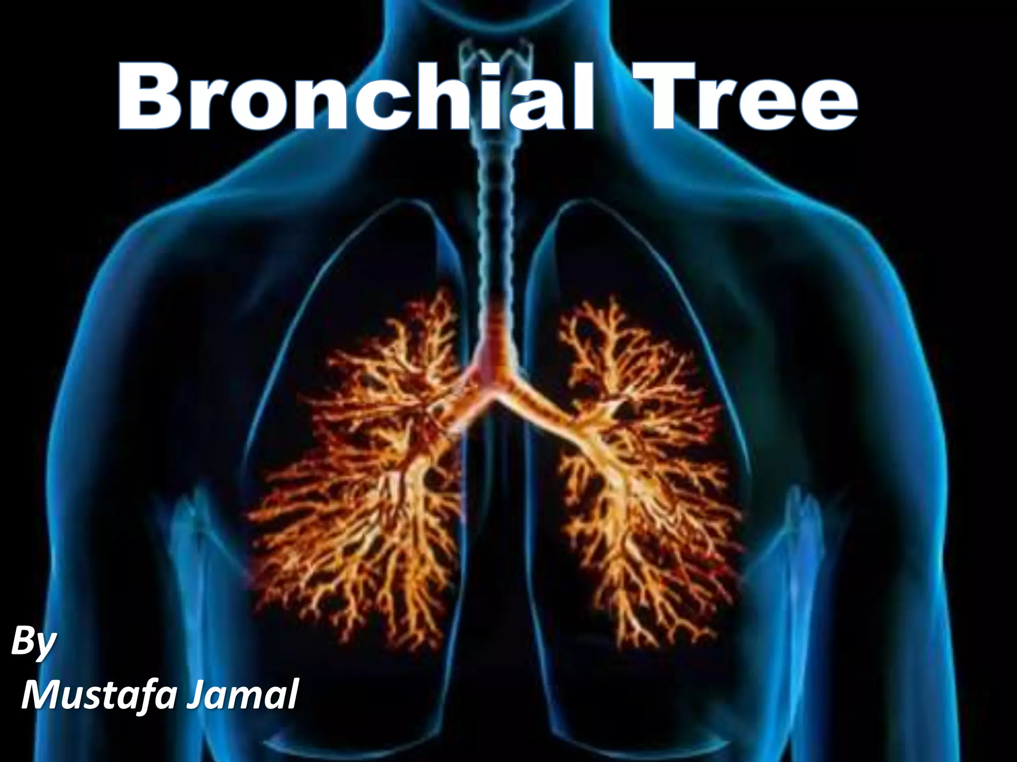 Bronchial tree | PPTX