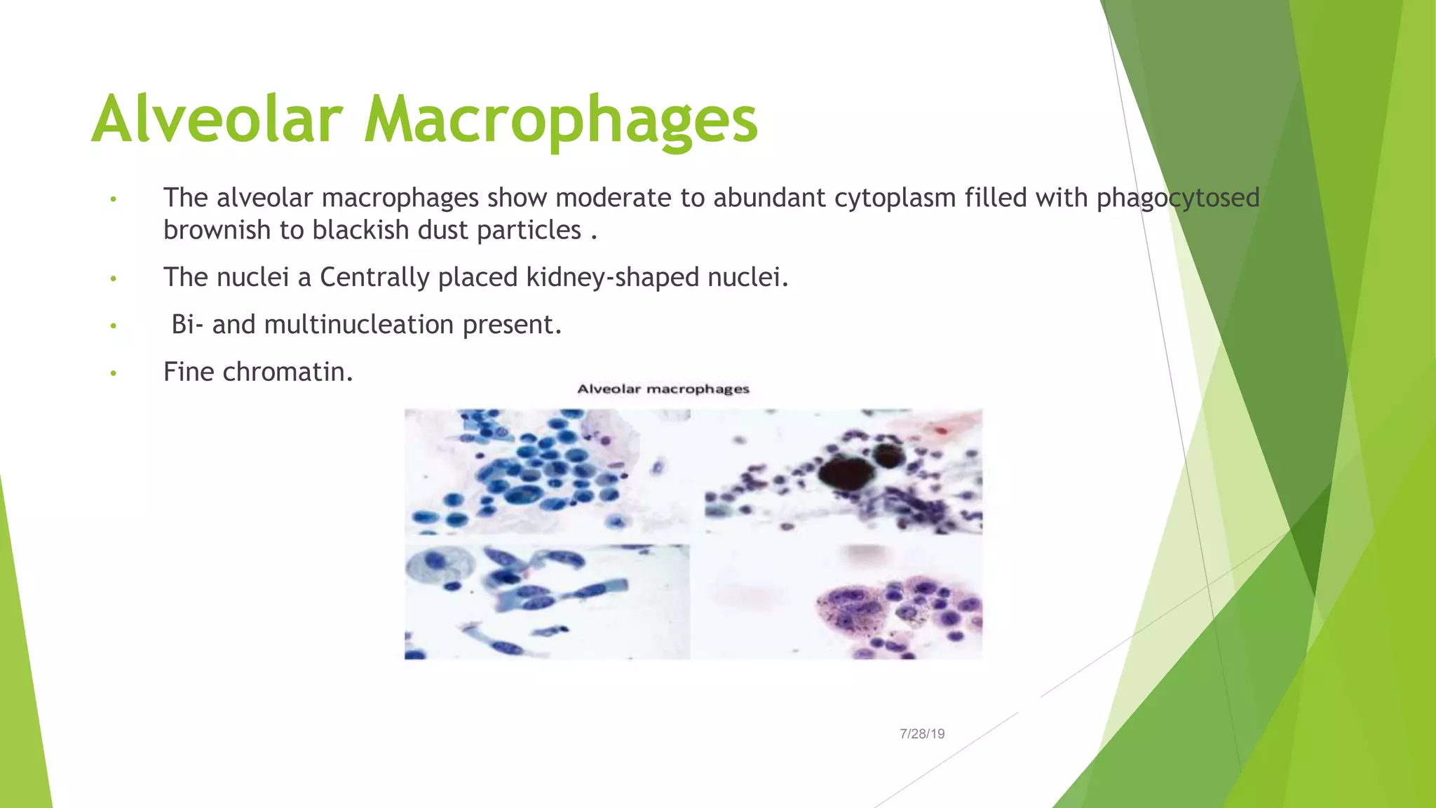 Bronchial washings and brushings | PPT