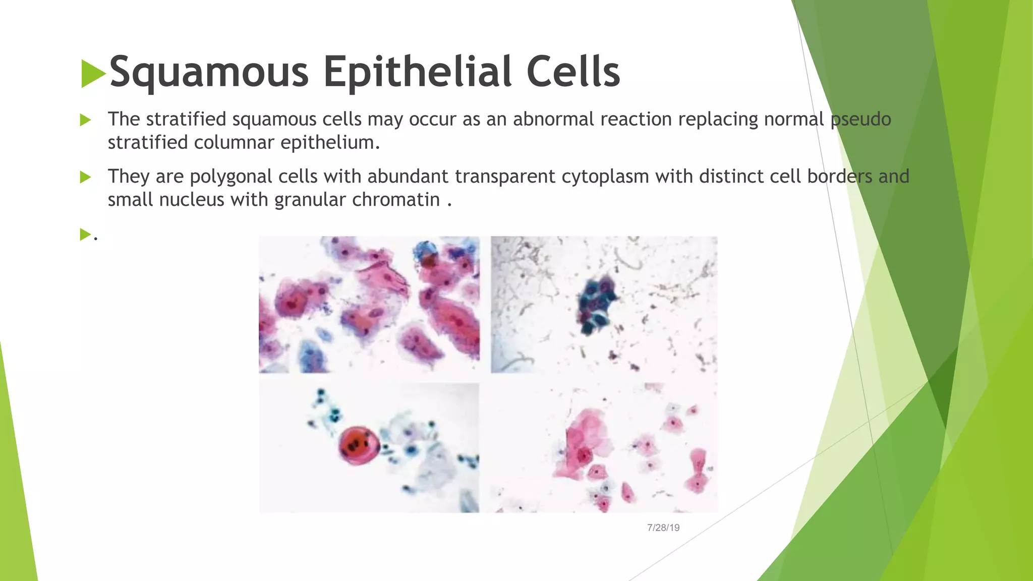Bronchial washings and brushings | PPT