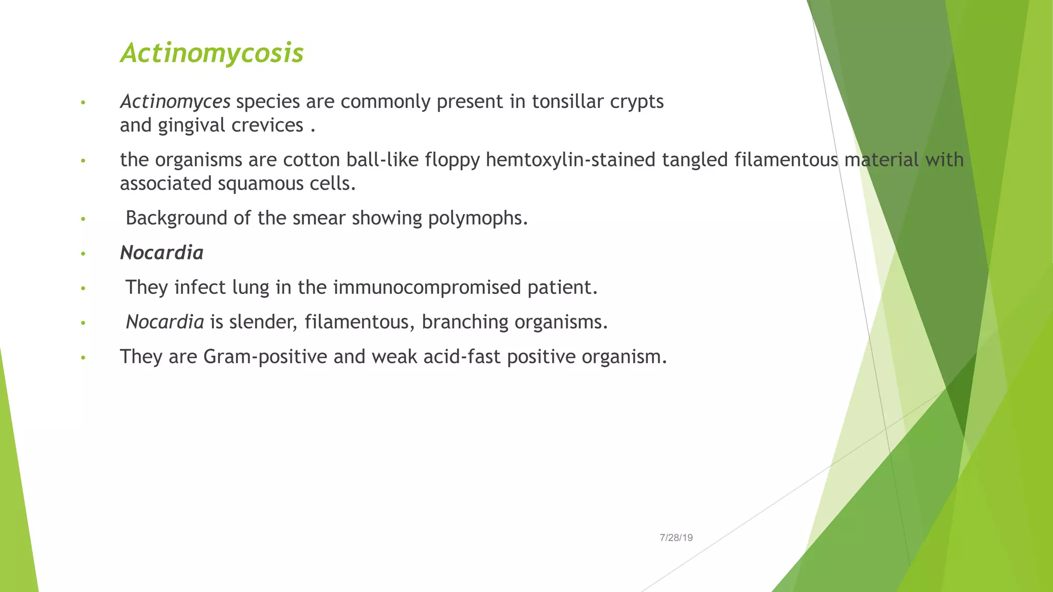 Bronchial washings and brushings | PPT