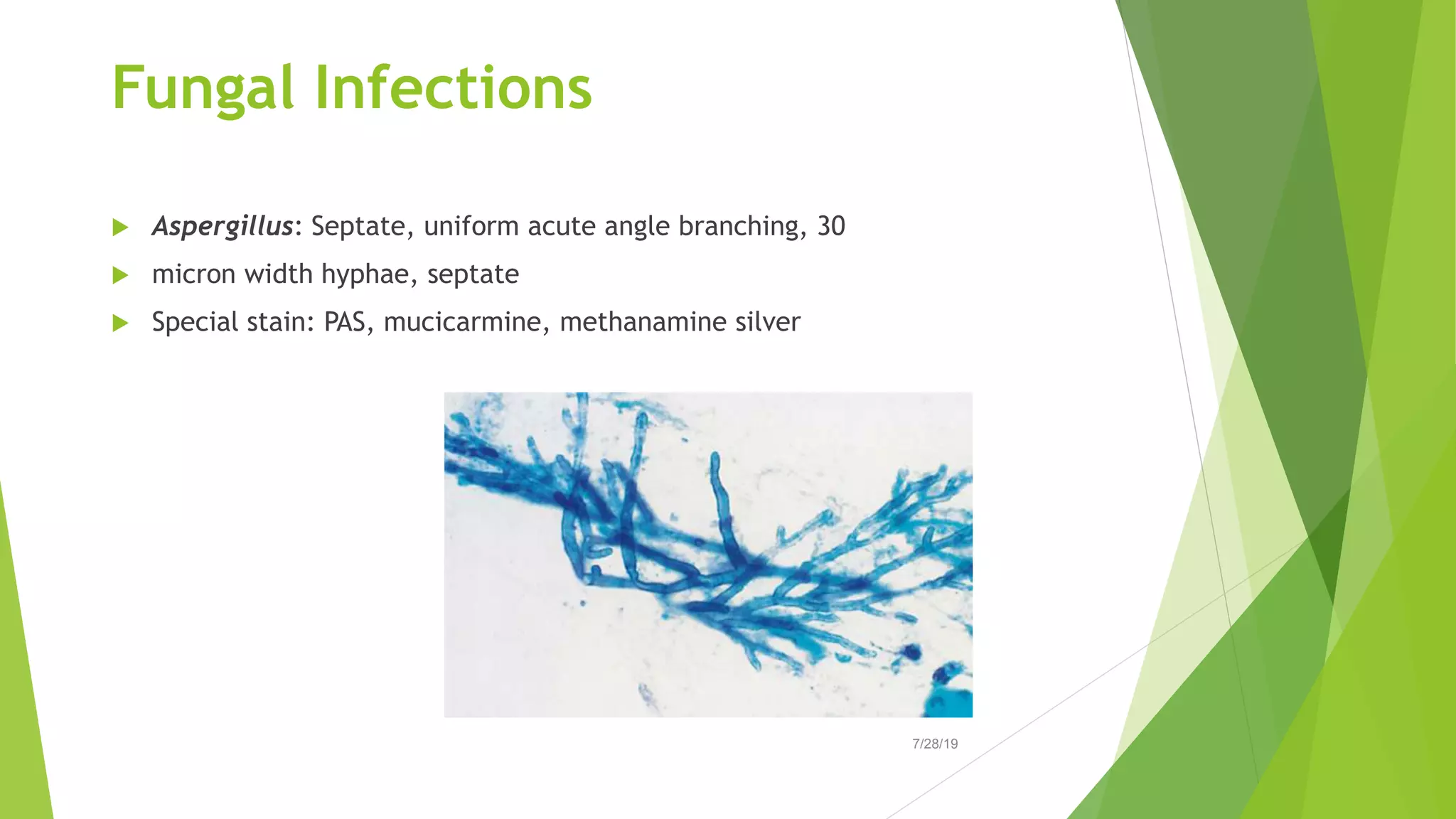 Bronchial washings and brushings | PPT