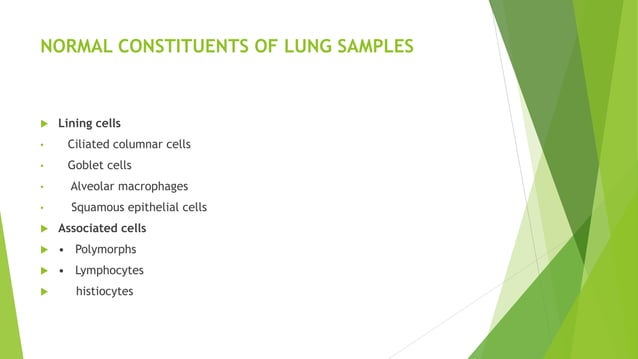 Bronchial washings and brushings | PPT | Lung and Respiratory Health ...