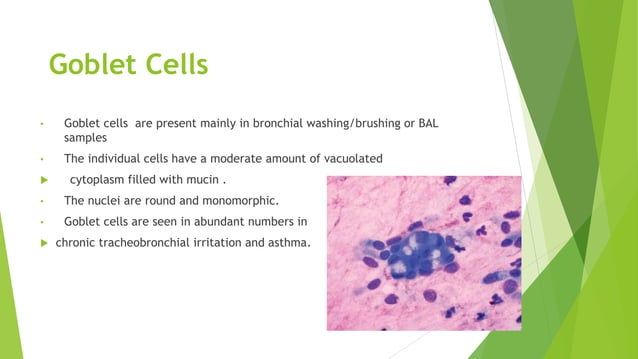 Bronchial washings and brushings | PPT | Lung and Respiratory Health ...