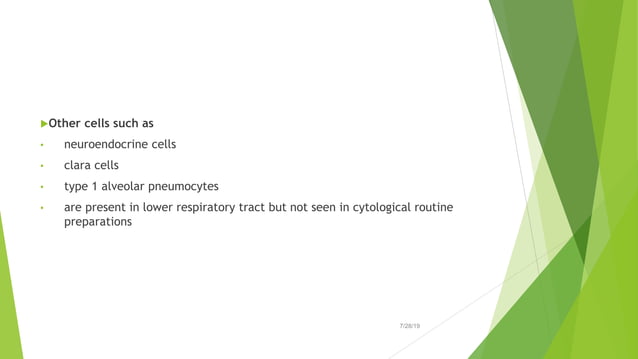 Bronchial washings and brushings | PPT | Lung and Respiratory Health ...