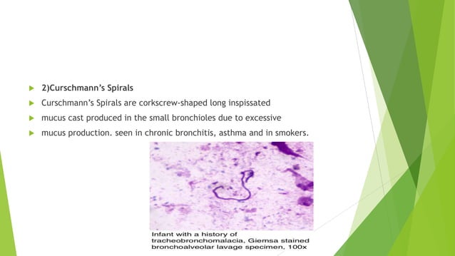 Bronchial washings and brushings | PPT | Lung and Respiratory Health ...