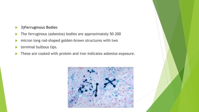 Bronchial washings and brushings | PPT | Lung and Respiratory Health ...