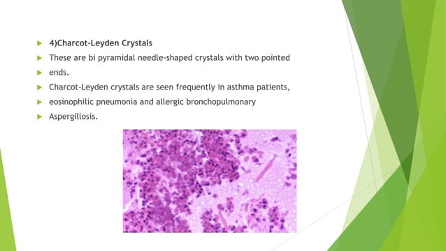 Bronchial washings and brushings | PPT | Lung and Respiratory Health ...