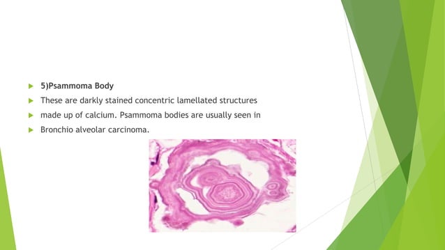 Bronchial washings and brushings | PPT | Lung and Respiratory Health ...