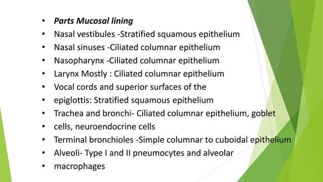 Bronchial washings and brushings | PPT | Lung and Respiratory Health ...