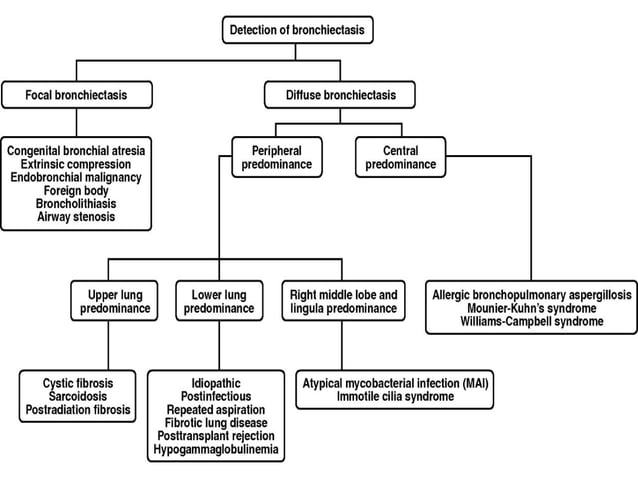 Bronchiectasis | PPT | Lung and Respiratory Health | Diseases and ...