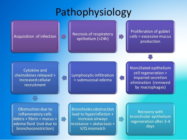 bronchiolitis in paediatrics