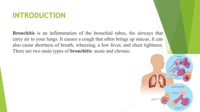 Bronchitis | PPTX | Lung and Respiratory Health | Diseases and Conditions