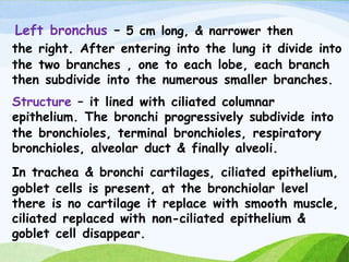 bronchitis-200424105258.pdf