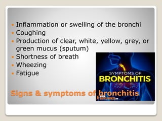 Bronchitis | PPT