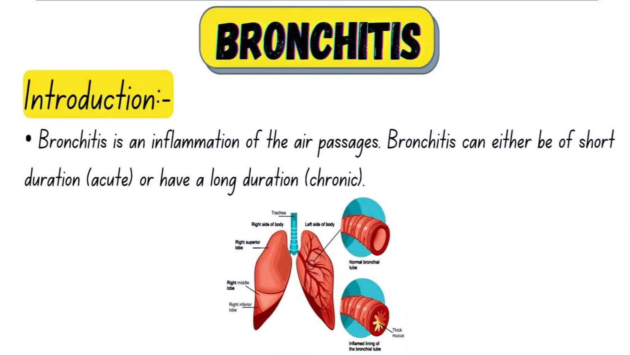 BRONCHITIS SLIDE SHARE IN RESPIRATORY SYSTEM | PPTX | Lung and ...