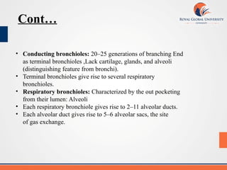 bronchitis case in radiology.pptx