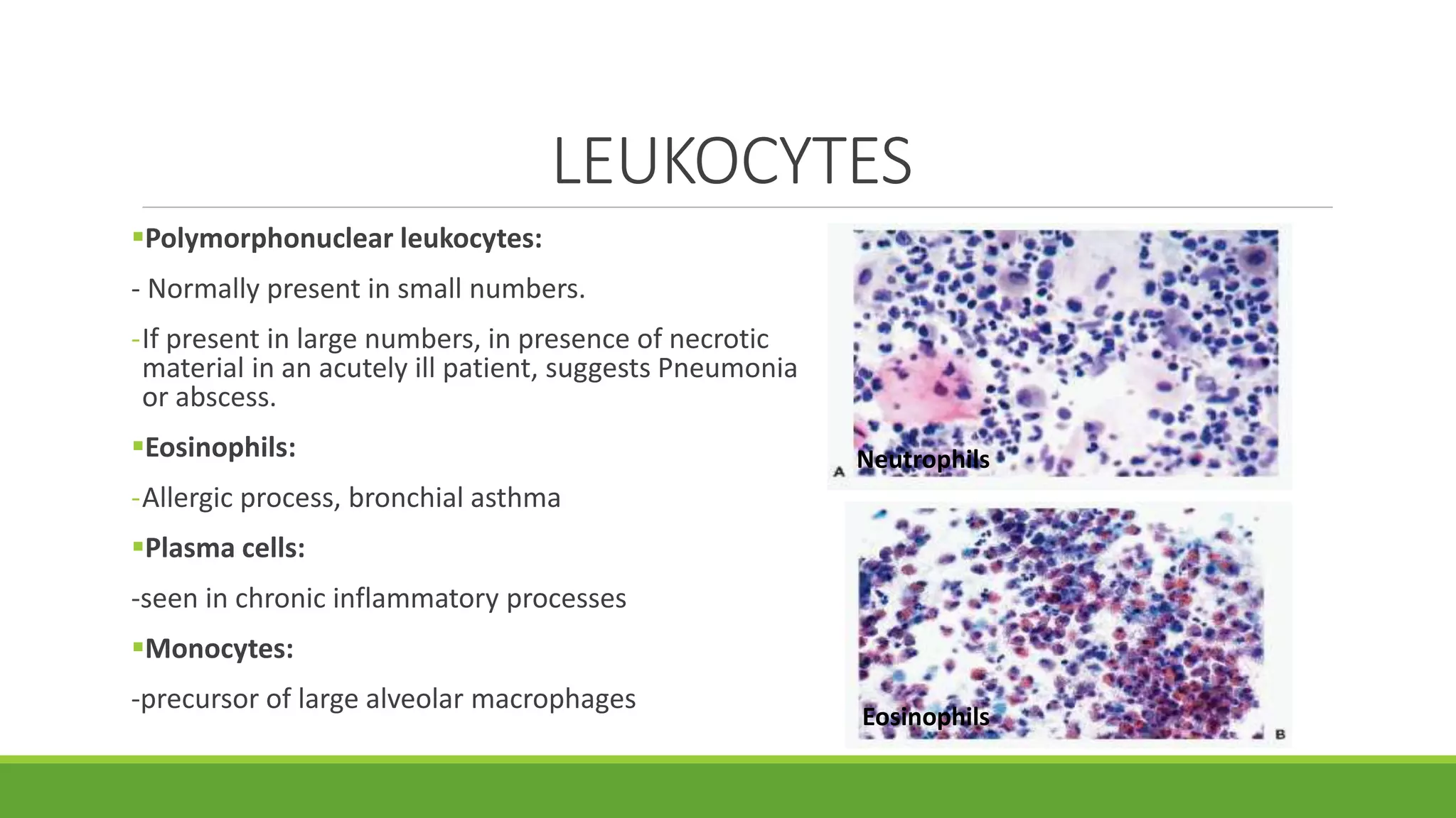 BRONCHOALVEOLAR CYTOLOGY.pptx