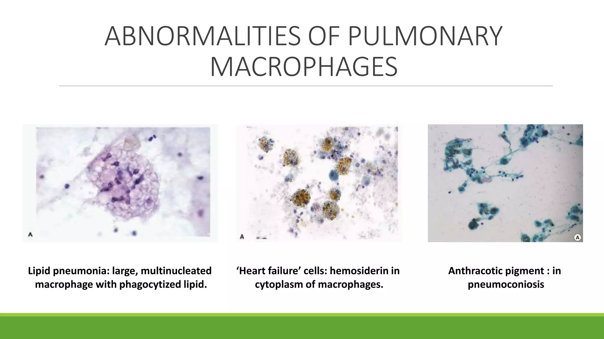 BRONCHOALVEOLAR CYTOLOGY.pptx